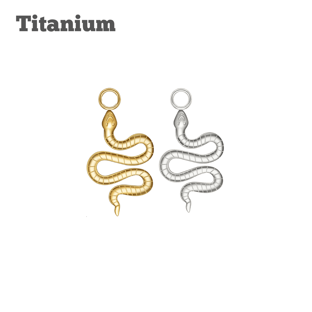 Titanium Snake Charm