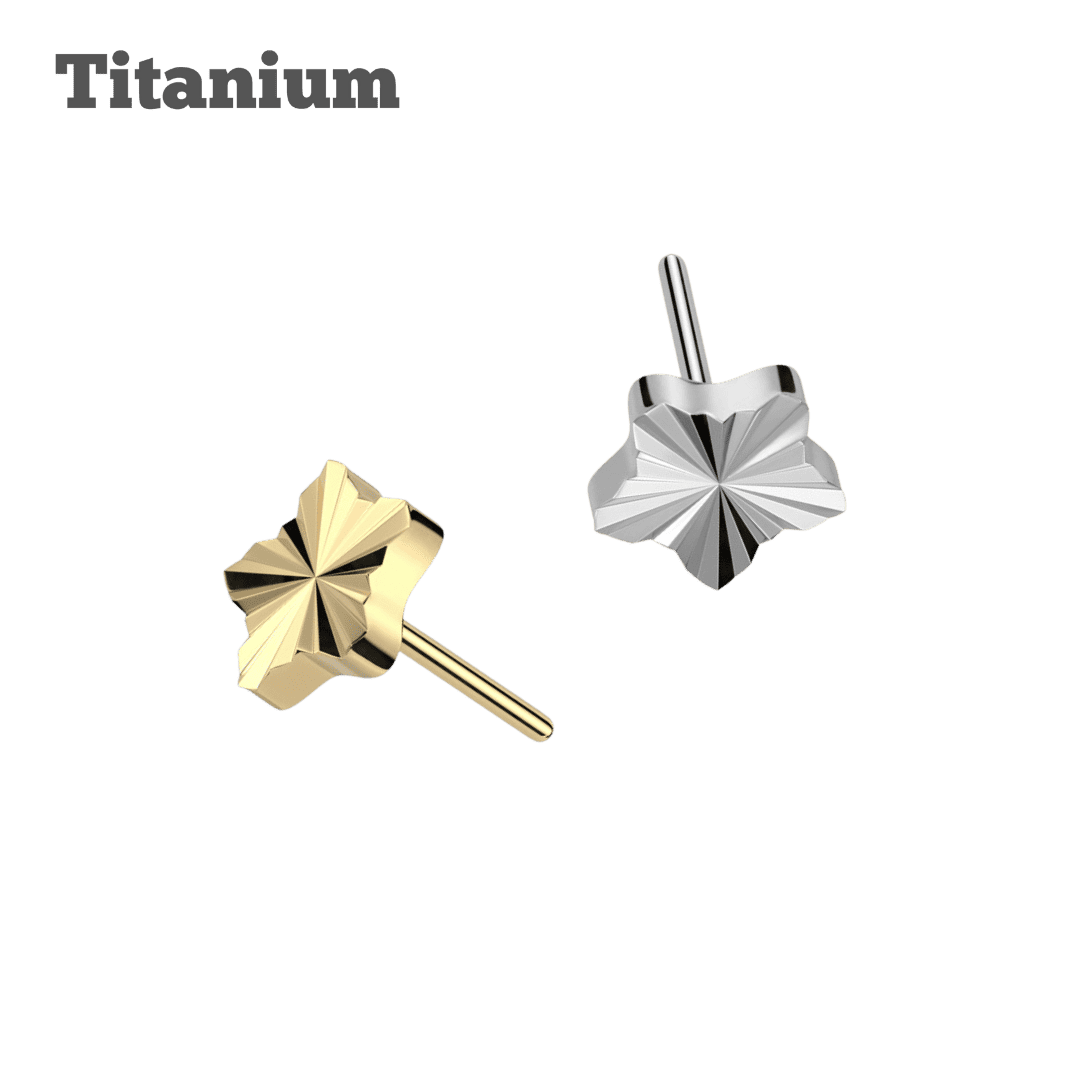 Titanium Diamond Cut Star Threadless Top